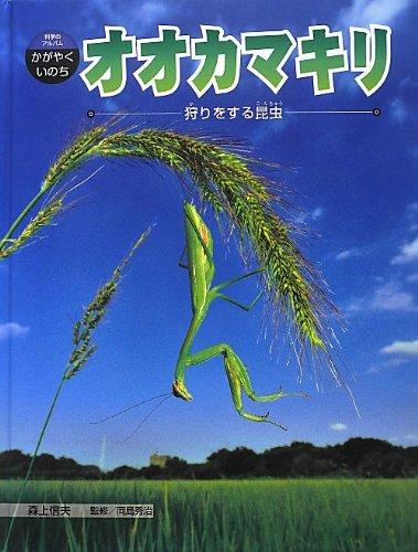 オオカマキリ: 狩りをする昆虫 (科学のアルバム・かがやくいのち 15)【 ご注文確定のタイミングについて 】 商品は他サイトでも販売しているため、在庫反映にタイムラグが生じる場合がございます。入れ違いで完売となった際は、速やかにメールでご...