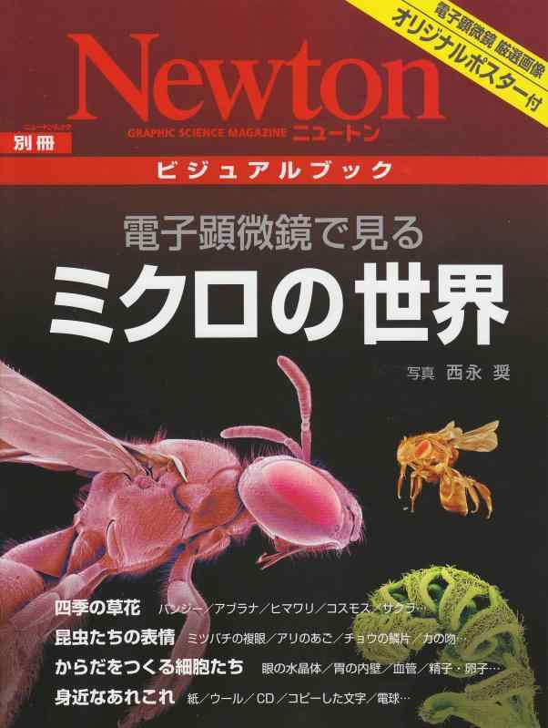 電子顕微鏡で見るミクロの世界: ビジュアルブック (ニュートンムック Newton別冊)【 ご注文確定のタイミングについて 】 商品は他サイトでも販売しているため、在庫反映にタイムラグが生じる場合がございます。入れ違いで完売となった際は、速...