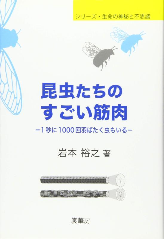 昆虫たちのすごい筋肉 -1秒に1000回羽ばたく虫もいる- (シリーズ・生命の神秘と不思議)【 ご注文確定のタイミングについて 】 商品は他サイトでも販売しているため、在庫反映にタイムラグが生じる場合がございます。入れ違いで完売となった際は...