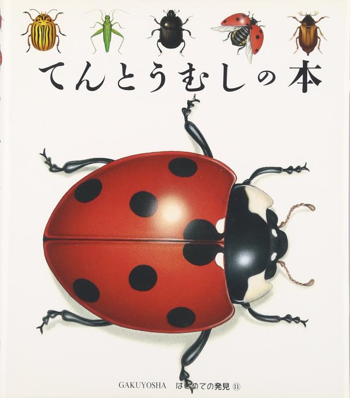 てんとうむしの本 (はじめての発見 11)【 ご注文確定のタイミングについて 】 商品は他サイトでも販売しているため、在庫反映にタイムラグが生じる場合がございます。入れ違いで完売となった際は、速やかにメールでご連絡の上、キャンセルのお手続き...