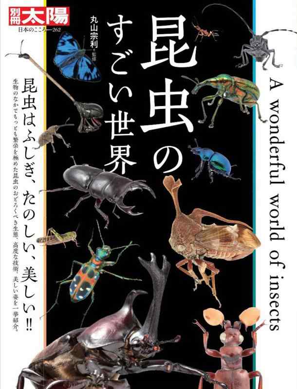 昆虫のすごい世界 (別冊太陽 日本のこころ)【 ご注文確定のタイミングについて 】 商品は他サイトでも販売しているため、在庫反映にタイムラグが生じる場合がございます。入れ違いで完売となった際は、速やかにメールでご連絡の上、キャンセルのお手続...