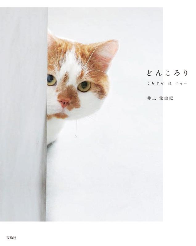 どんころり【 ご注文確定のタイミングについて 】 商品は他サイトでも販売しているため、在庫反映にタイムラグが生じる場合がございます。入れ違いで完売となった際は、速やかにメールでご連絡の上、キャンセルのお手続きをさせていただきます。 【 ご購...