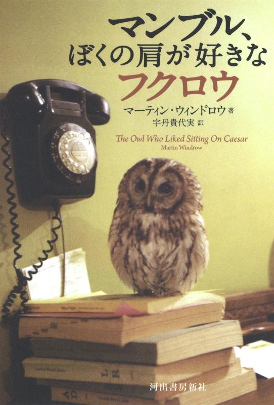 マンブル、ぼくの肩が好きなフクロウ【 ご注文確定のタイミングについて 】 商品は他サイトでも販売しているため、在庫反映にタイムラグが生じる場合がございます。入れ違いで完売となった際は、速やかにメールでご連絡の上、キャンセルのお手続きをさせて...