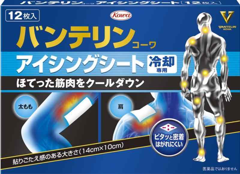 バンテリンアイシングシート 12枚入ほてったカラダをクールダウン、ひんやりさせてリフレッシュ