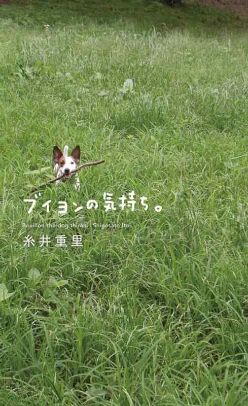 ブイヨンの気持ち。 (ほぼ日ブックス)【 ご注文確定のタイミングについて 】 商品は他サイトでも販売しているため、在庫反映にタイムラグが生じる場合がございます。入れ違いで完売となった際は、速やかにメールでご連絡の上、キャンセルのお手続きをさ...