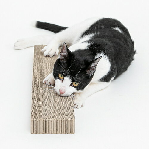 広告文責・販売事業者名:株式会社ビューティーサイエンスTEL 050-5536-7827・・・・・　商　品　詳　細　・・・・・ 商品名 HappyDays ゴミが出にくいつめとぎ替え 商品説明 お部屋のインテリアにマッチする爪とぎ・ゴミが出...