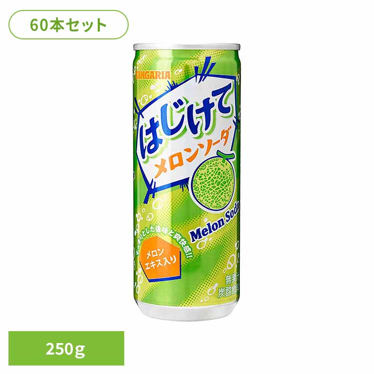 すっきりとした後味と、はじけるような炭酸の爽快感をお楽しみいただける、メロンエキス入りの炭酸飲料です。※リニューアルに伴い、パッケージ・内容等予告なく変更する場合がございます。予めご了承ください。●内容量250g●原材料果糖ぶどう糖液糖（国...