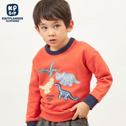 衿と袖口が配色の裏毛のトレーナー。刺繍とプリントとを合わせた恐竜モチーフのデザイン。化石の恐竜が目を引きます。恐竜好きなお子さまにおすすめのアイテムです。80-90cmは左肩開き仕様です。●生地の厚さ：普通●裏地：なし●ポケット：なし●伸縮...