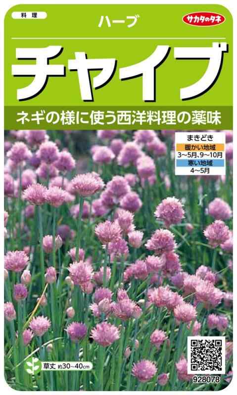 サカタのタネ 実咲ハーブ8078 チャイブ ハーブ 00928078切替月:6月詰量:0.9ml発芽率:65採苗本数:150春秋扱い:春秋兼用種春:秋: