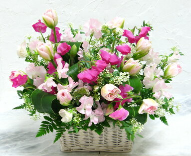春を代表するチューリップやスイートピー・コデマリです！春がいっぱい詰まった花カゴになってます。受験の合格お祝いや卒業お祝いに。季節のご挨拶・記念日など明るいお花をもらうと嬉しいですね ※期間限定商品です1月15日〜3月10日までのお届け指定...