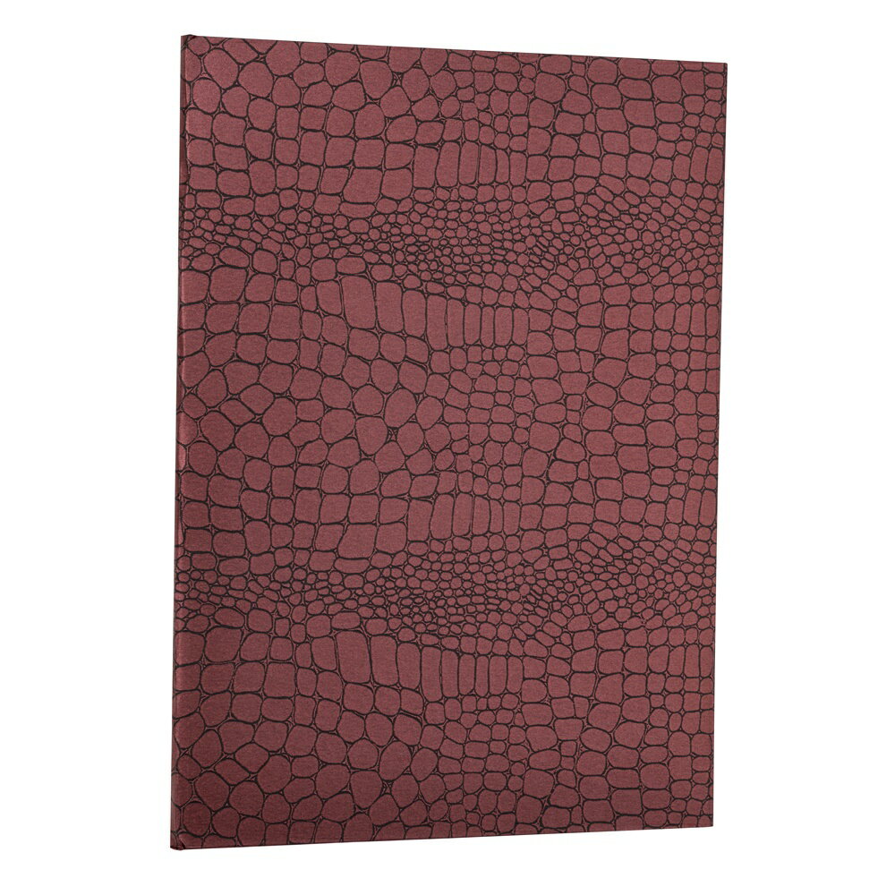 ナカバヤシ株式会社（0120）166-779商品仕様賞状・証書の保管に最適なファイル卒業証書、感謝状、辞令、認定書、メニュー、等様々な用途に。フリー透明三角コーナーシール8枚付属A4縦〜最大A3横まで収納可能【本体重量】285g【本体サイズ...