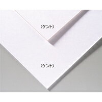A&B オリジナルアートボード B4 画用紙 絵 画材 図工 美術 学校教材 スケッチ 趣味商品番号:ATC-03306牛乳パックで作った環境にやさしいECO素材商品サイズ:B4(257×364×1.5mm)A&B オリジナルアートボード ...