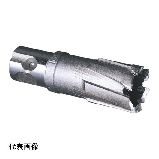 4957462163384｜289-2227 [DLMB35A30] 1本販売 システム上、送料無料と表記されていても、沖縄県・離島宛、大型商品は追加料金をいただく場合があります。別途費用が発生する場合、システムの都合上ご購入時の自動配信メ...