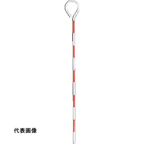 4989999386059｜274-3370 [TPP30] 1本販売 システム上、送料無料と表記されていても、沖縄県・離島宛、大型商品は追加料金をいただく場合があります。別途費用が発生する場合、システムの都合上ご購入時の自動配信メールには...