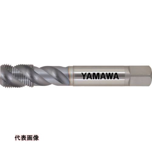 4582639495564｜195-4613 [AUSPGP31828 ] 1販売こちらの商品はメール便対応商品です。メール便対応数：5（※1回のご注文で対応数の合計が101以上だとメール便は対応できませんので予めご了承下さい。) システム...