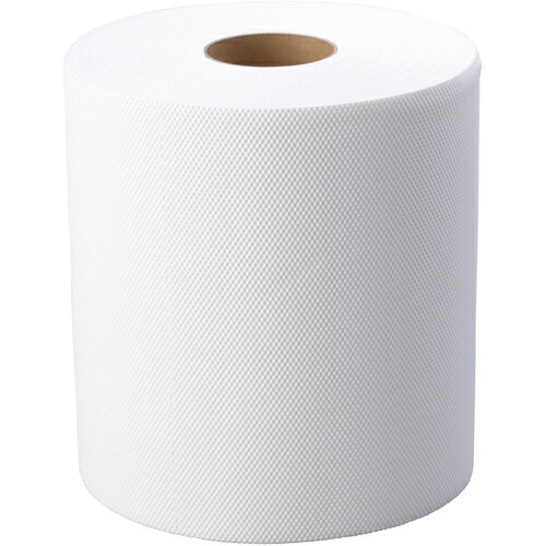 4560170000232｜8096181 [PR30] 1Cs販売商品画像については実際の製品と異なる場合がございます。あくまでも商品のスペックをご確認の上ご注文をお願いいたします。※この商品は受注発注の商品です。その為メーカーに在庫がな...