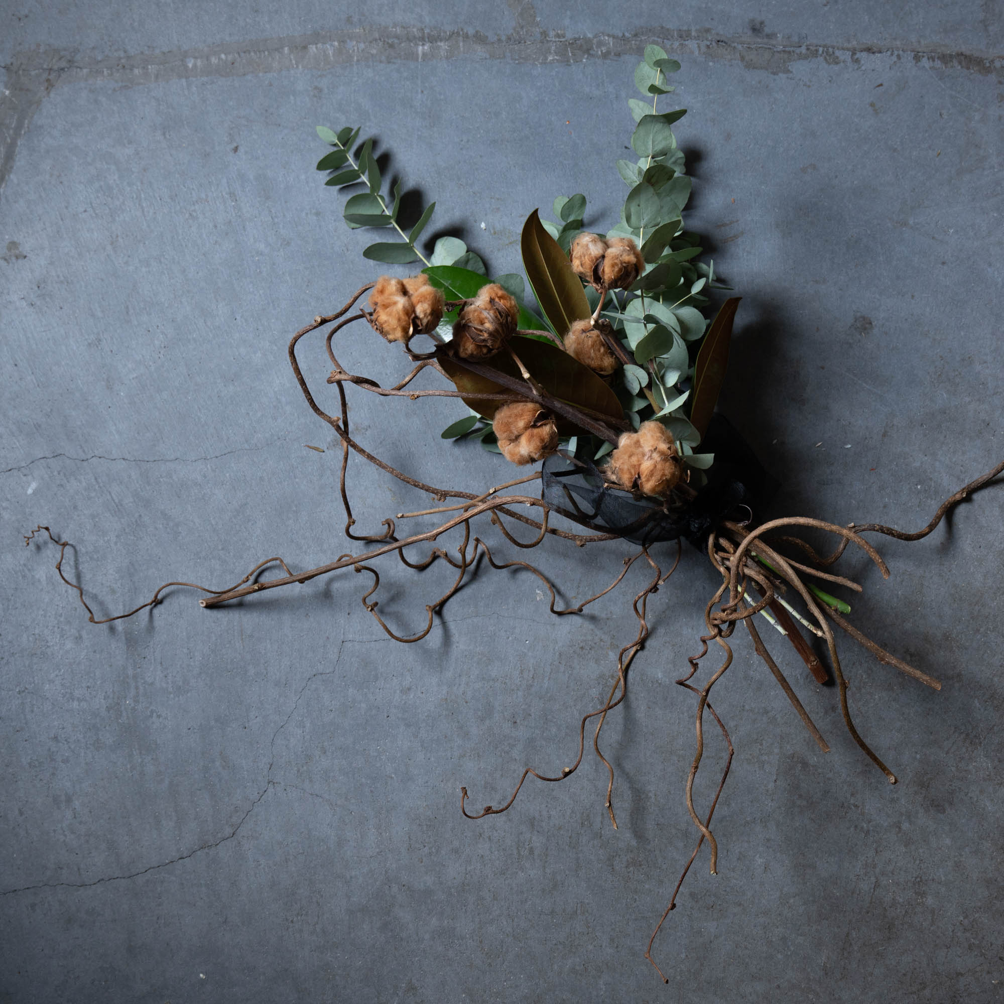 ユーカリとコットンフワラーのスワッグ 空間をシックに彩るナチュラルスワッグ 温かいブラウンのコットンフラワーと深みのあるユーカリのグリーン、そして全体を引き締めるブラックのリボンが、落ち着いた大人の雰囲気を演出するスワッグ。 洗練された自然...