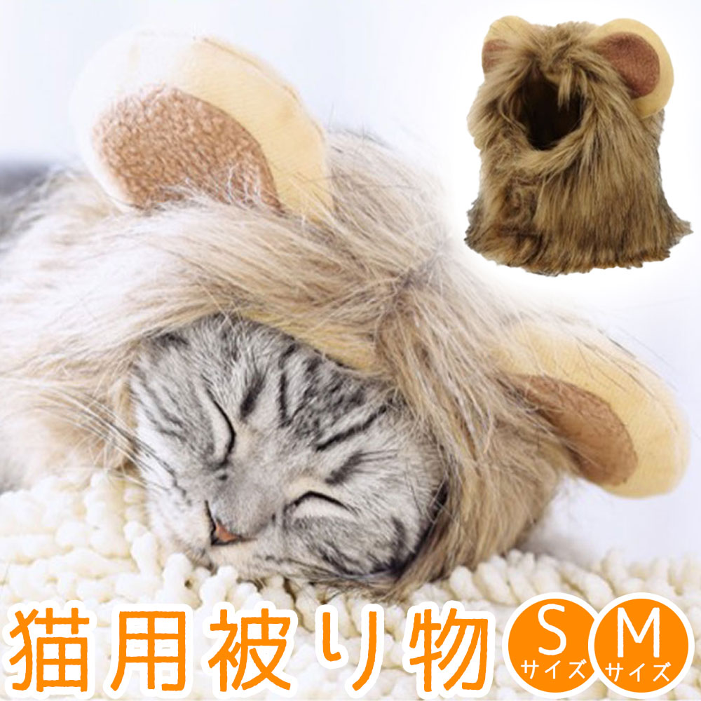 吾輩は猫である。名前はみぃである | へんな人のへんなぶろぐ༼ つ ༽つ