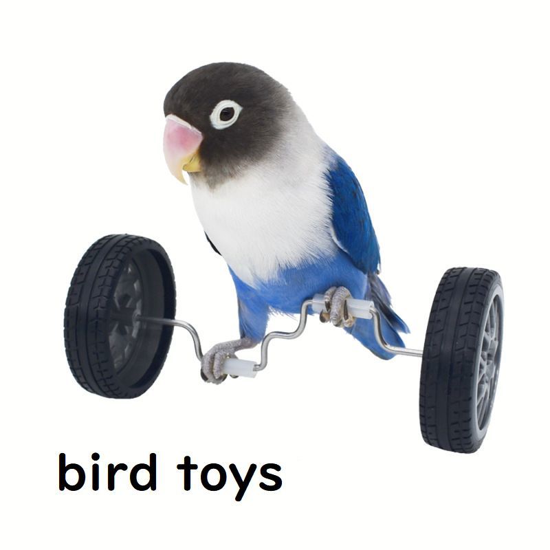 鳥用の車輪のおもちゃです。インコなどの小型の鳥向けです。 【サイズについて】画像をご参照ください。 【カラーについて】生産ロットにより柄の出方や色の濃淡が異なる場合がございます。お使いのモニターや撮影時の光の加減などにより画像と実際の商品の...