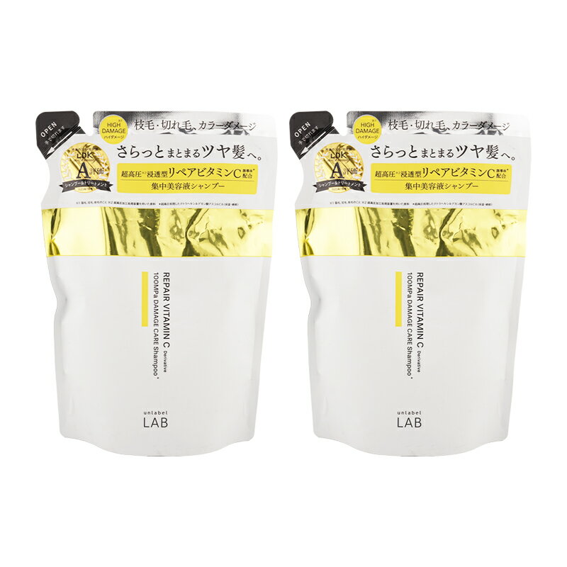 JAN 4573350881989 【商品説明】 ・濃密なビタミンCの泡で、洗うたびにツヤのある、なめらかな髪に導く集中美容液シャンプーです。 ・こちらは詰替え用です。 ・ミュゲやジャスミンの透明感のあるフローラルを中心に、カシスやアップル...
