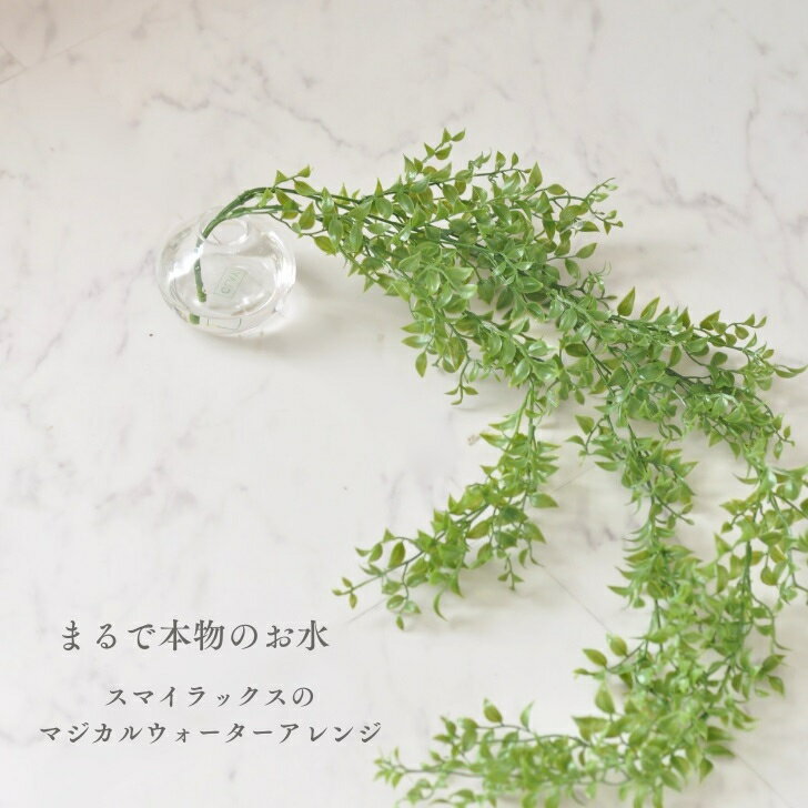 商品情報花材アーティフィシャルグリーン：スマイラックスマジカルウォータークレイ花器ガラスサイズ☆スマイラックス約65センチのつるになります（インテリアに合わせて曲げてニュアンスを出すことが可能です）☆ガラス花器幅約8cm×奥行約8cm×高さ...