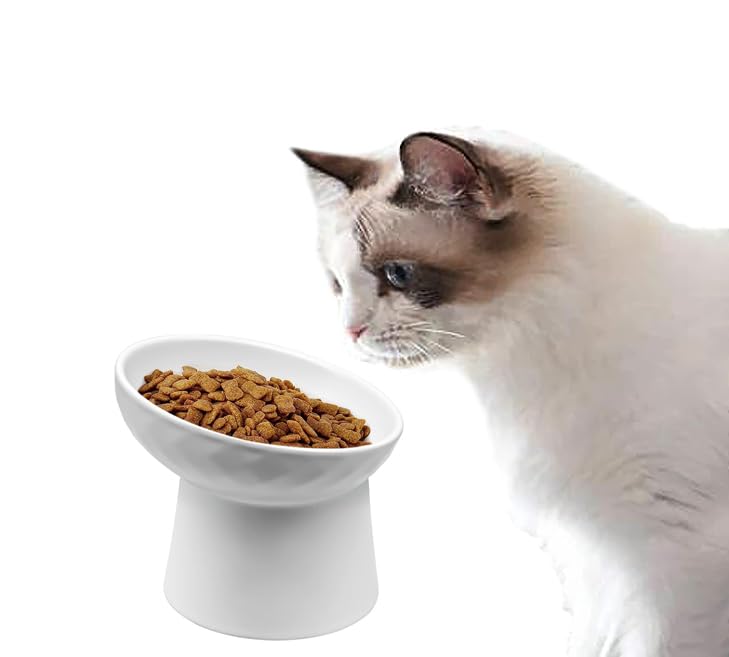 15°傾斜設計で頸椎を保護猫は食道が比較的まっすぐな動物のため、 食道に溜まった食事が戻りやすい傾向があります。猫の自然な姿勢に基づいて、15°傾きのように設計され、ペットが食事中に背中とくびが水平ラインに保ち、頸椎が圧迫されないことを確保...
