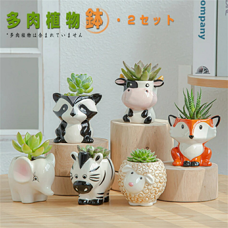 材質：セラミックス セット：2セット 形：動物 サイズ：画像を参考してください このセラミックス製の多肉植物鉢は、かわいらしい動物のデザインが特徴で、インテリアとしても楽しめるアイテムです。 セメント素材のため、耐久性があり、底穴付きで植物...