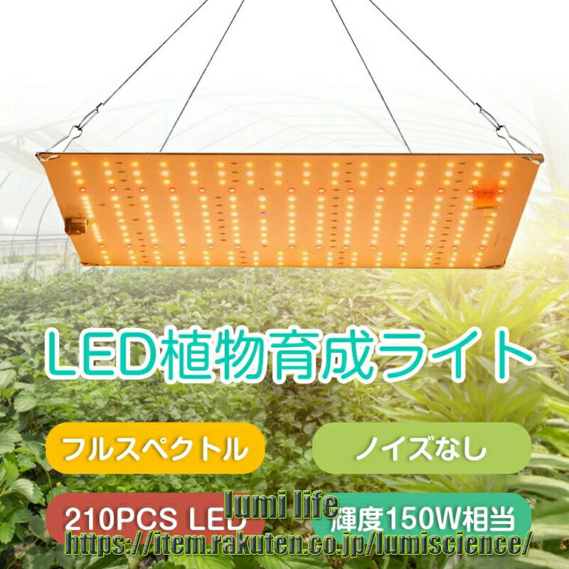 商品ポイント 【植物育成】 太陽光ような光で植物のすべての階段に適合して、植物の成長を促進できます。日向になる時間が少ないところと太陽光が入りにくい室内場所にこのライトを使用して日照不足解消できて、植物がすくすく成長します。 【優れた放熱設...