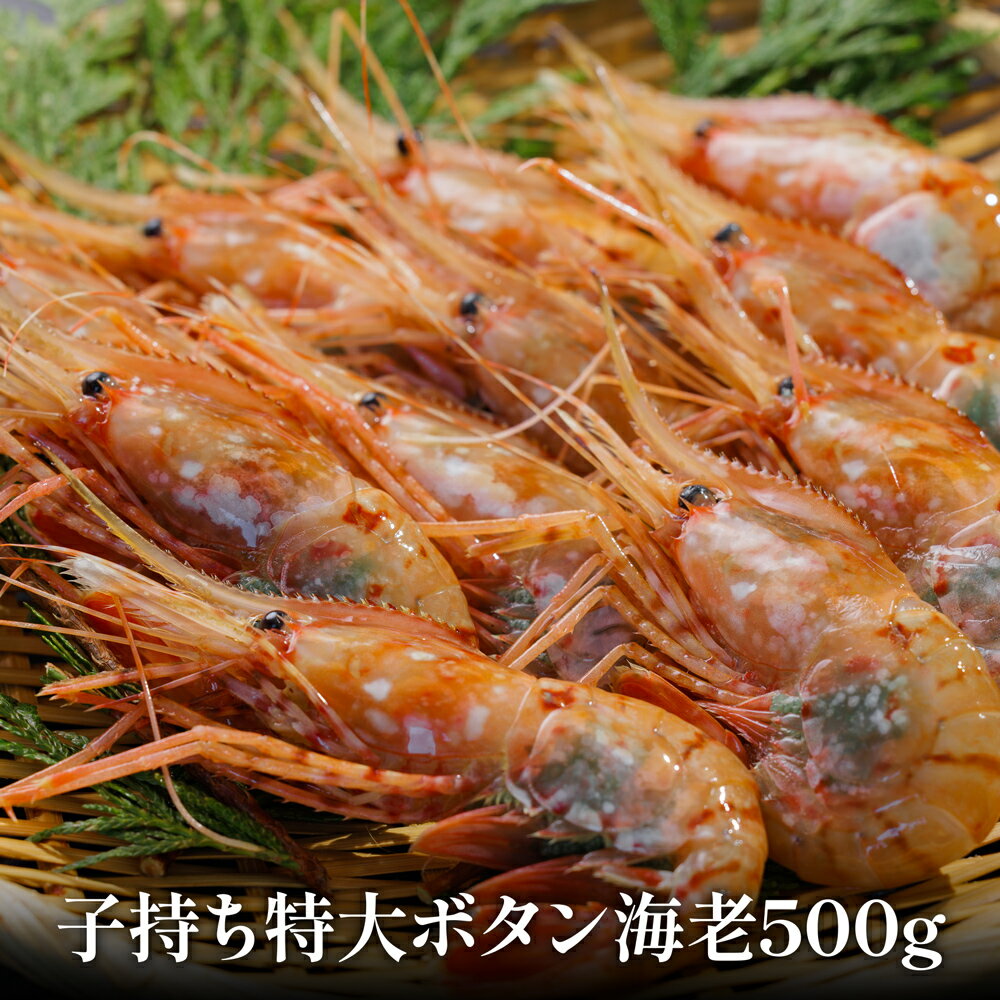 船内急速冷凍！子持ち特大ボタン海老がたっぷり500g！ 鮮度抜群の特大ボタン海老を、船内で急速冷凍し旨みをそのまま閉じ込めました。 ぷりっとした身の甘みと、とろける濃厚な卵のコクが一度に楽しめる贅沢な逸品。 解凍するだけでまるで獲れたての味...