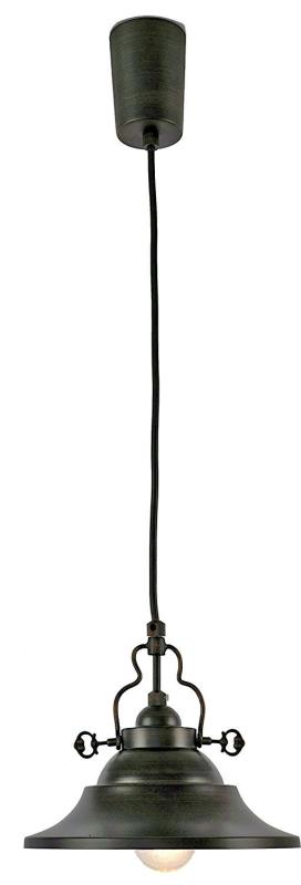 Ampoule ペンダントライト 照明 おしゃれ 1灯 アイアン 照明器具 電球別売 ブラック RAUTA2 ラウタ2✅ラウタ2は、レトロな雰囲気がおしゃれなアイアンの1灯ペンダントライト。渋くて落ち着きがあるアンティークブラックと、ランプ...