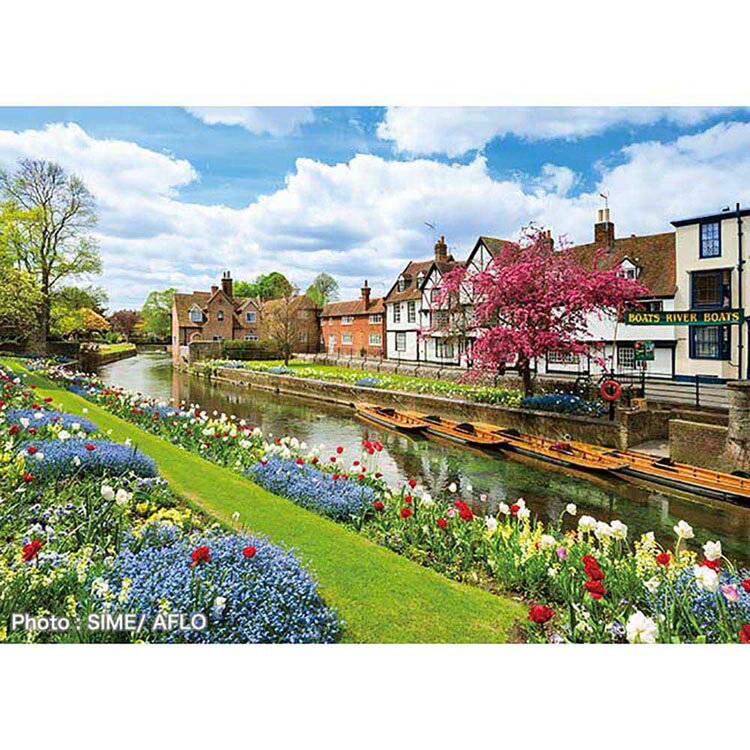 イギリスのカンタベリー地方。優雅な散歩道●商品サイズ（cm）幅約29×奥行約22×高さ約5●商品重量約0.51kg●材質500ピース（検索用：カンタベリー 散歩道 ジグソーパズル 500ピース 4959295002823）最強翌日配送対象商...