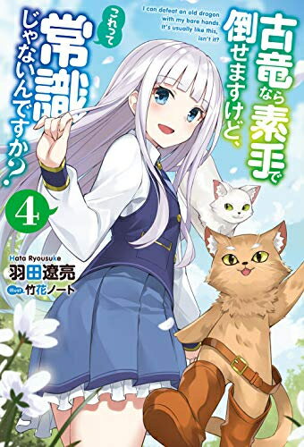 作者 : 羽田遼亮 竹花ノート 出版社 : 双葉社 版型 : B6版 あらすじ・概要 : かつて世界を救った大賢者に拾われたフィル。人類最強の賢者に孫として育てられたフィルは、その才能を受け継ぎ、無詠唱で魔法を唱え、素手でドラゴンを倒せるま...