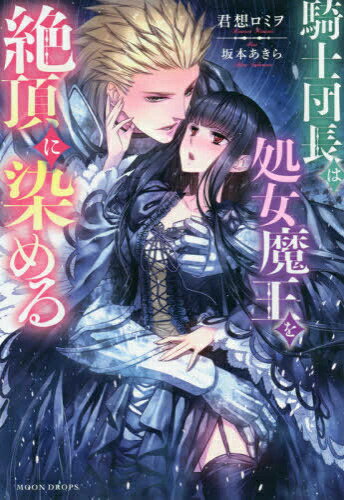 作者 : 坂本あきら 君想ロミヲ 出版社 : 竹書房 版型 : B6版 あらすじ・概要 : 騎士団長、私の貞操を奪え!魔王討伐の使命を背負った心優しい騎士団長×哀しい運命に翻弄される可憐な魔王 魔の力を浄化するために騎士団長は魔王を貫く騎士...