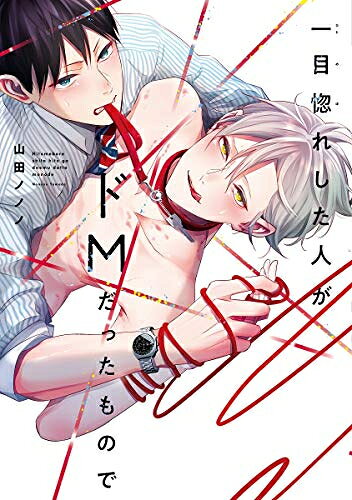 作者 : 山田ノノノ 出版社 : 新書館 版型 : B6版 あらすじ・概要 : 付き合いで来たSMバーで縄師のミサキに一目惚れした翔太。エロくて苦しい事が好きなミサキと過ごすうち翔太はSの才能(?)を開花させ……!?一目惚れした人がドMだっ...