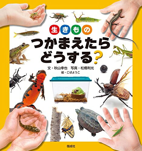 作者 : 秋山幸也 松橋利光 出版社 : 偕成社 版型 : A4版 あらすじ・概要 : 家の庭、近所の空き地、公園の林や池のそばでは、虫やトカゲ、カエルなどの生きものが、たくさん見つかります。つかまえて、うまく持ちかえったら、その生きものに...
