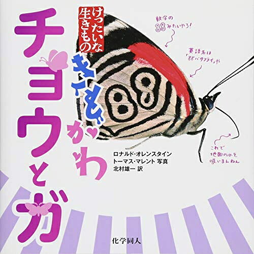 作者 : ロナルド・オレンスタイン 北村雄一 出版社 : 化学同人 版型 : B5変版 あらすじ・概要 : ページをめくるたびに目に飛び込んでくるすごいヤツらを集めた「けったいな生きものシリーズ」.「目玉もようのはね」「ながーいしっぽ」「鳥...