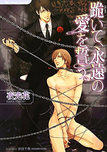 作者 : 夜光花 奈良千春 出版社 : 竹書房 版型 : 文庫版 あらすじ・概要 : 日常はつまらないことばかりで、何もかもが億劫だ…。橘グループの御曹司、雄太はその恵まれた環境に甘え、毎日を好き放題に遊び回っていた。そんな雄太を運れ戻しに...