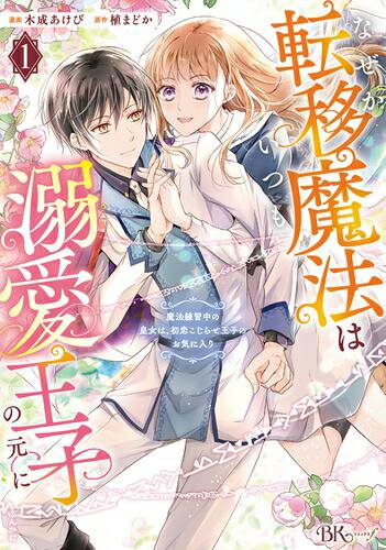 作者 : 木成あけび/植まどか 出版社 : ぶんか社 あらすじ・概要 : 絵を描くのが好きなレナはダズベル王国の第3皇女。 ある日、練習中の転移魔法を間違えて隣国に飛ばされてしまい、その国の王子・ディルを刺客から救うことに。 お互いの身分を...