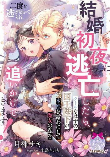 作者 : 月神サキ/小島きいち 出版社 : フランス書院 あらすじ・概要 : 森でともに過ごし、惹かれ合った魔女セラフィナと王子ヘンリー。 数年後結婚するため再会したら、別人みたいにクールな王様になっていた!? 私の好きな彼じゃない! 初夜...