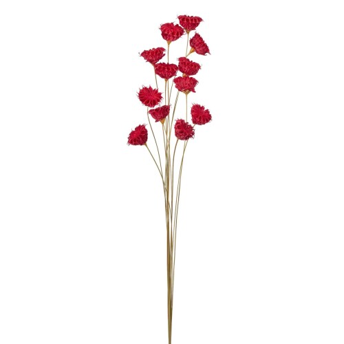 大地農園 ドライフラワー カップフラワー 約花径2×約L40〜45cm 12本入 DO032320-300 色名:レッド 素材:天然素材 サイズ:約花径2×約L40〜45cm 色名:レッド 素材:天然素材 サイズ:約花径2×約L40〜45c...
