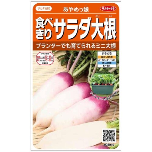 サカタのタネ 実咲野菜 ダイコン 食べきりサラダ大根 あやめっ娘 首色の鮮やかな赤紫色で 華やかな食卓に! 首色が鮮やかな赤紫色になるミニダイコン。耐暑性、晩抽性を備えた「ころっ娘」の姉妹品種で内部は白肉。す入りが遅くしっかりした肉質で歯切...