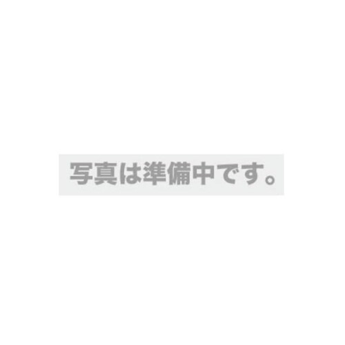 アイゼン マスターピンゲージバラ 0級/プラスチックケース付//L=50mm 呼び寸法1.556mm EX-1.556 呼び寸法:1.556mm 長さ(呼び寸法1.001〜9.999):40mm 許容差(呼び寸法1.001〜9.999):±...