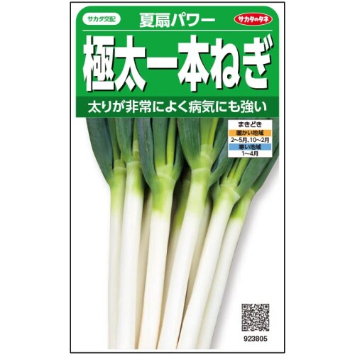サカタのタネ 実咲野菜 ネギ 極太一本ねぎ 夏扇パワー 低温期の伸びと太りが抜群! 暑さ寒さに強く、病気にも強い品種です。 1袋(約500粒) 袋裏面画像をご覧ください。 ■ご注意:この種子を食べたり、動物等に与えないでください。また、お子...