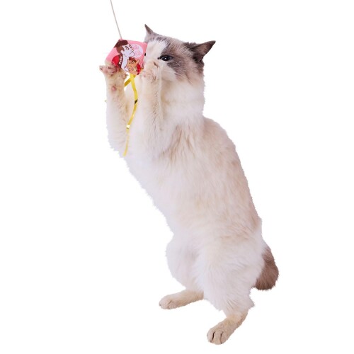 ペティオ (Petio) 猫用おもちゃ 猫小町 凧じゃらし 歌舞伎 ひらひら舞う凧を追いかけるにゃ! 商品紹介 和風な凧をモチーフにした猫じゃらし。凧あげしているみたいに猫ちゃんと遊べます。ゆれるゴールドテープに興味しんしん! 使用方法 ■...