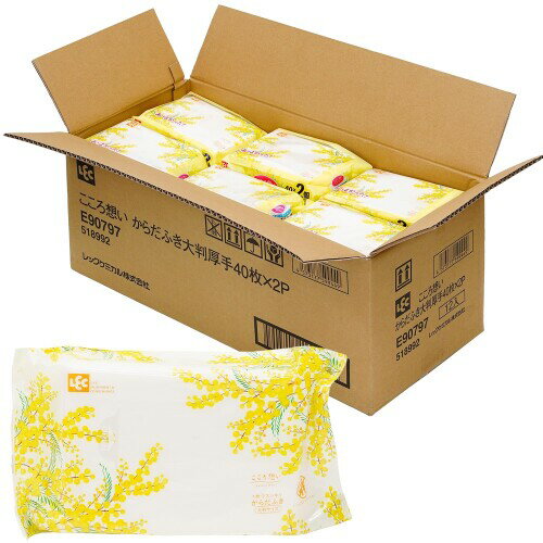 レック(LEC) こころ想い 大人用 からだふき 大判厚手タイプ (30×20cm) 40枚×24個 (960枚) ケース品/丈夫なシートでしっかり拭ける/日本製/無香料/アロエエキス配合 シートサイズ:約300x200mm/大判サイズ/4...