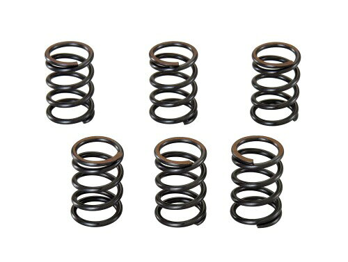 キタコ(KITACO) 強化クラッチスプリングセット モンキー125(JB02/JB03/JB05) グロム(JC61/JC75/JC92) CT125ハンターカブ(JA55/JA65) ダックス125(JB04/JB06)等 6本1セット...