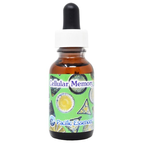 セルラーメモリー 原産国 : カナダ 内容量 : 25ml 全成分 : 水、海塩、ブランデー、エッセンス(Anemone, Candystick, Diatoms, Poison Hemlock, Silver Birch) 商品サイズ (...