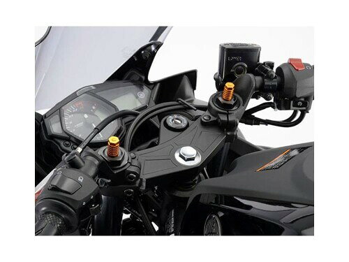 ベビーフェイス(BABY FACE) フロントフォークトップキャップ ブラック YZF-R25/MT-07/MT-25 005-Y0006BK 適合車種:YZF-R25/MT-07/MT-25 カラー:ブリロードアジャスター:ゴールド/キャ...