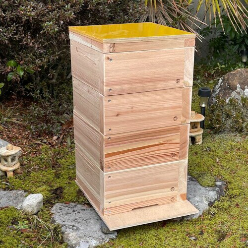 日本みつばち用 飼育箱 簡単 重箱式巣箱 待ち箱 養蜂巣箱 国産 杉材 板厚35mm 4段セット 待ち箱 重箱式巣箱 商品紹介 【商品内容】 巣箱本体 合計4箱 　板厚:約35mm 　高さ:約12cm 　幅:約29cm 　奥行:約29cm ...