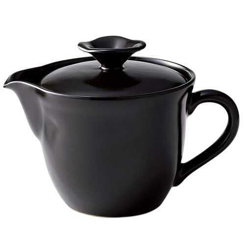 aito製作所 「 景 Kei 」 ティーポット 約410ml 墨 瀬戸焼 食洗機 電子レンジ対応 日本製 288500 商品サイズ:約10.8×15.4(片口、持ち手含)×高11.3cm 商品重量:0.22kg 容量:約410ml 素材:...